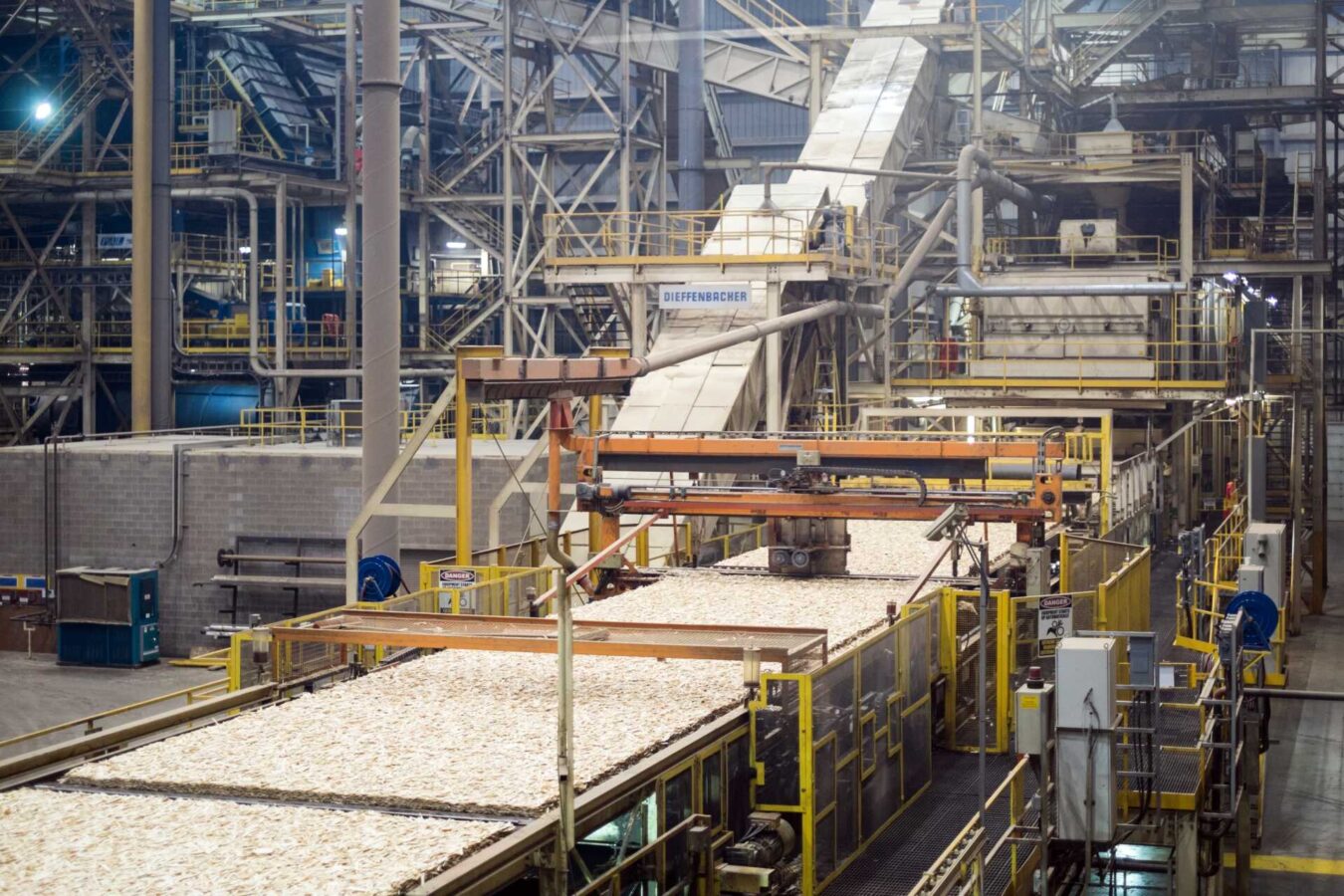 Tolko celebrates 65 years in forestry