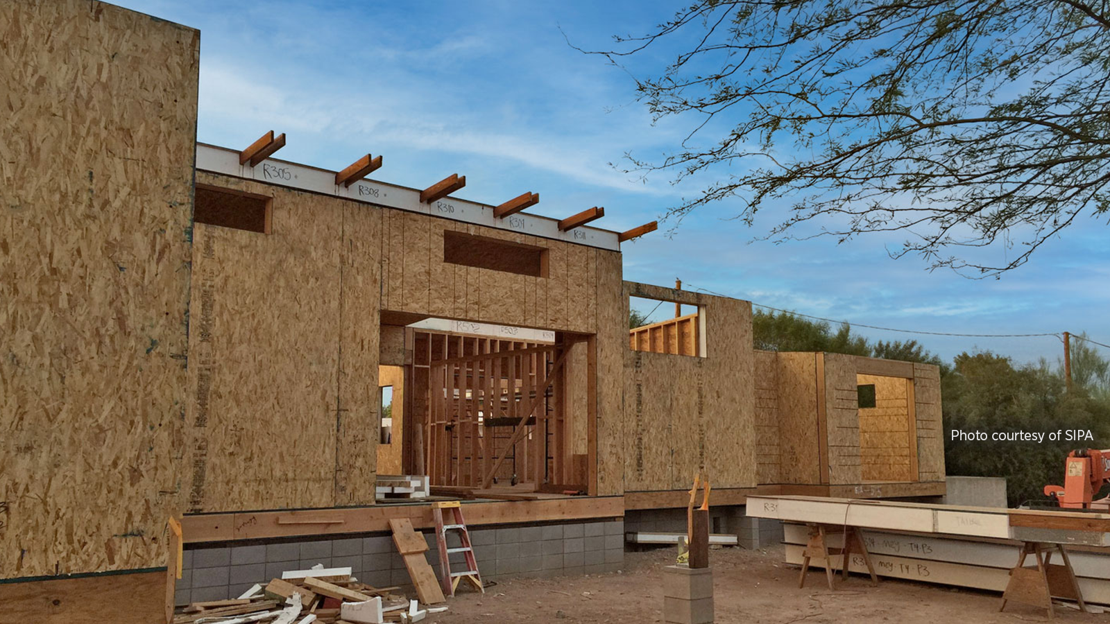 Tolko | Lumber and Sustainable Wood Products